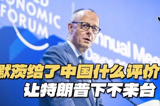 没登上访华专机,默茨给中国的评价,让重返白宫的特朗普下不来台