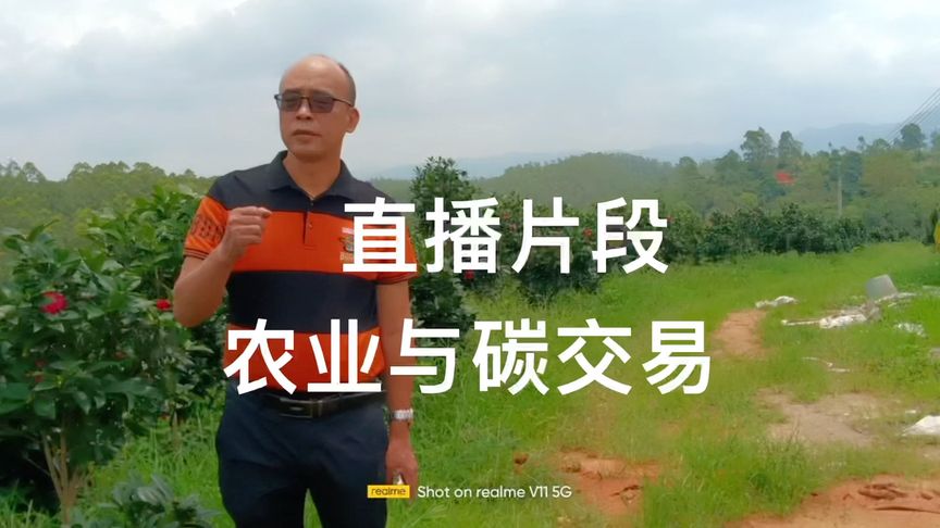 个人参与碳达峰,共享农业、共享碳汇林,碳中和可以这样做吗?