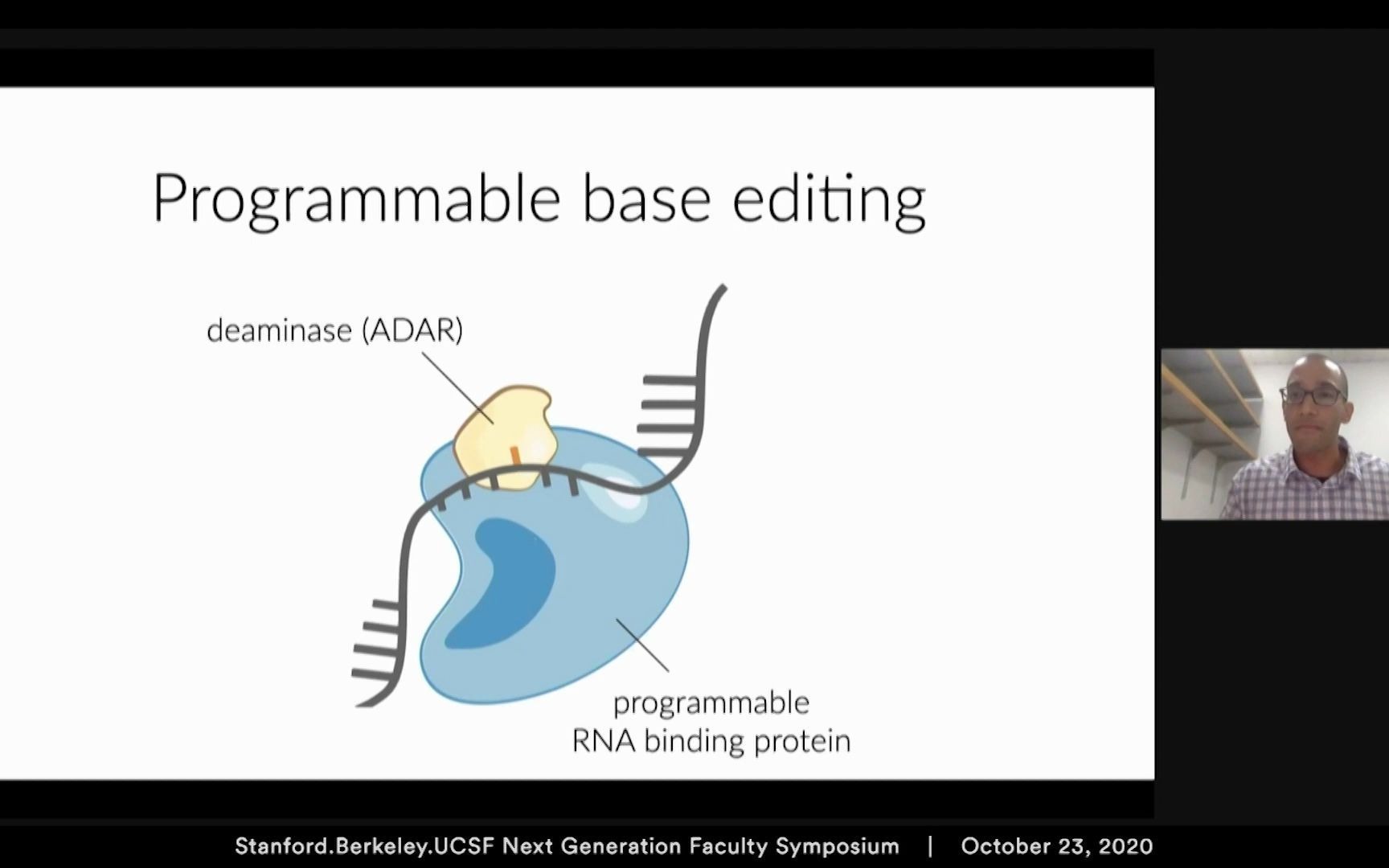 CRISPR Cas13编辑RNA|转录工程专题