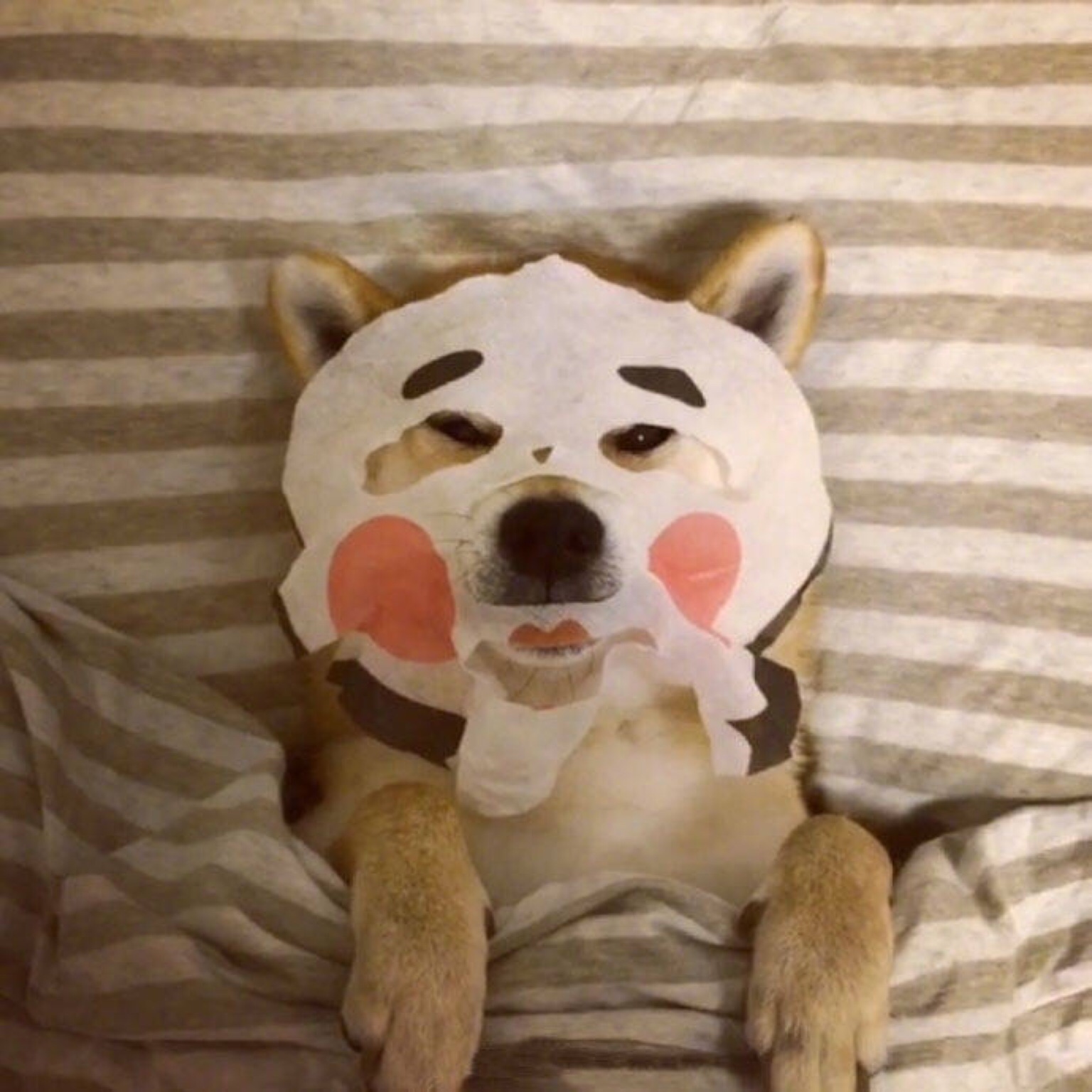 小小瓶中鱼 