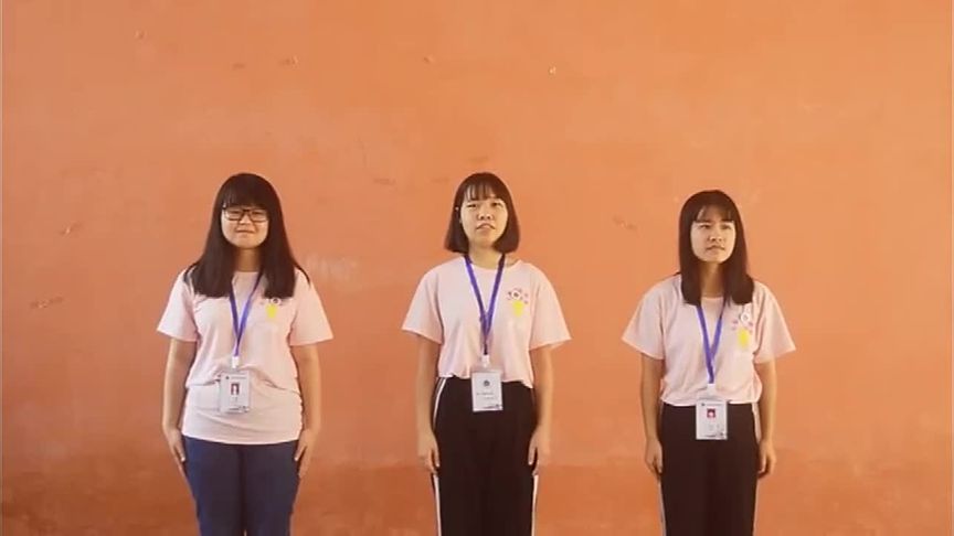 幼儿手语舞教学《夜空中最亮的星》