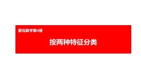 按两种特征分类
