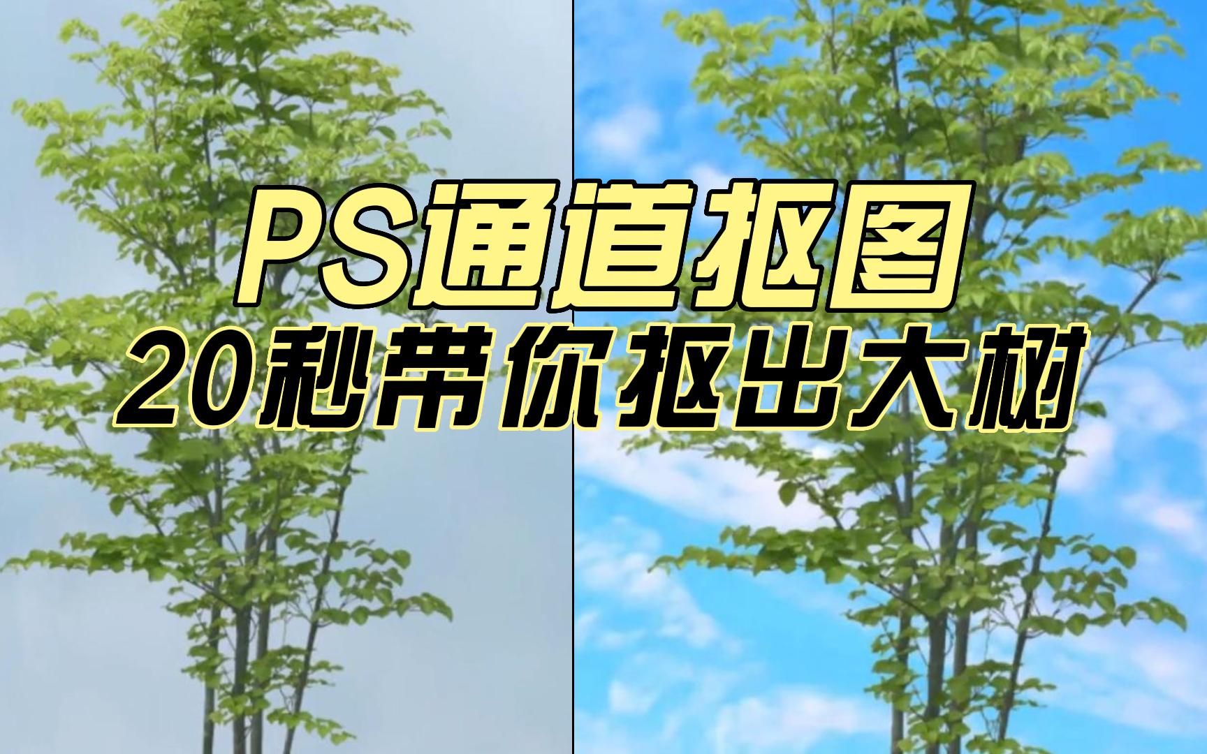 【PS教程】 ps通道抠图-20秒抠出大树 ps抠图/ps一键去杂物/ps去除...