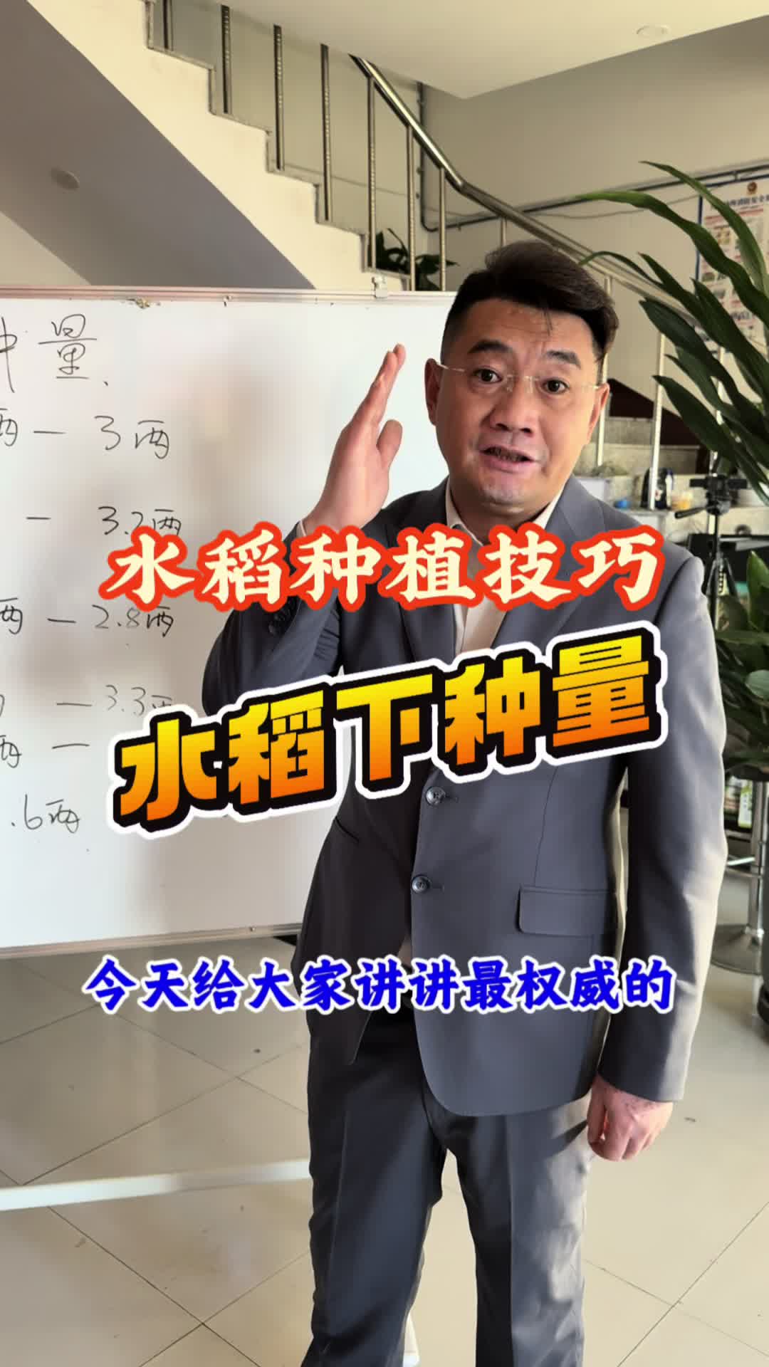 #三农 #种植技术 #水稻种植 #水稻种植技术 #服务三农支持三农