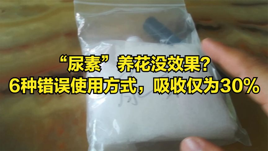尿素的“6种”错误使用方法,你知道吗?用错了就晚了
