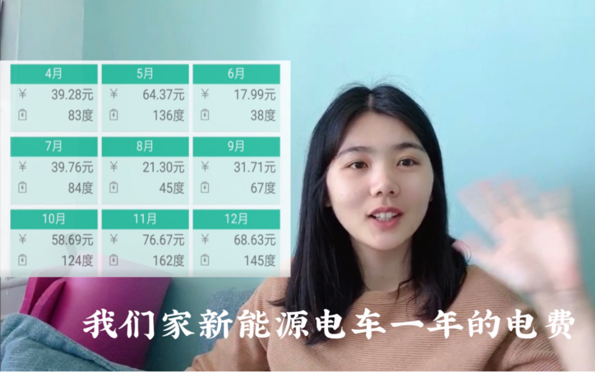 新能源电车一年电费使用情况,每公里不到一毛