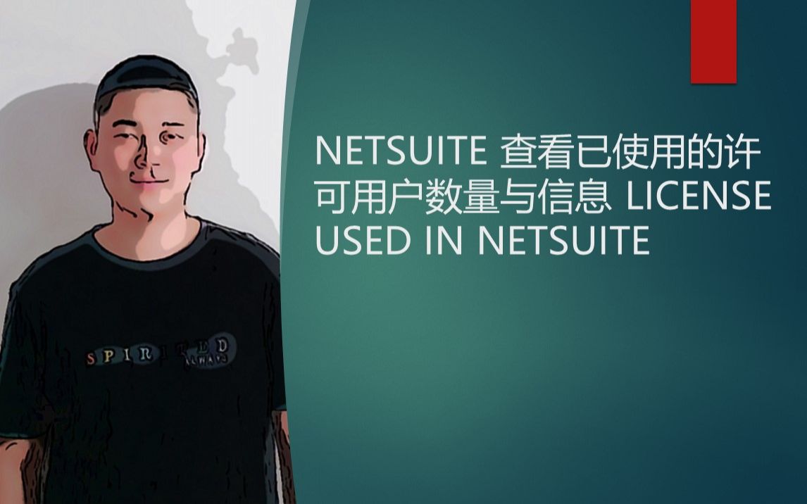 NETSUITE 查看已使用的许可用户数量与信息 LICENSE USED IN NET...