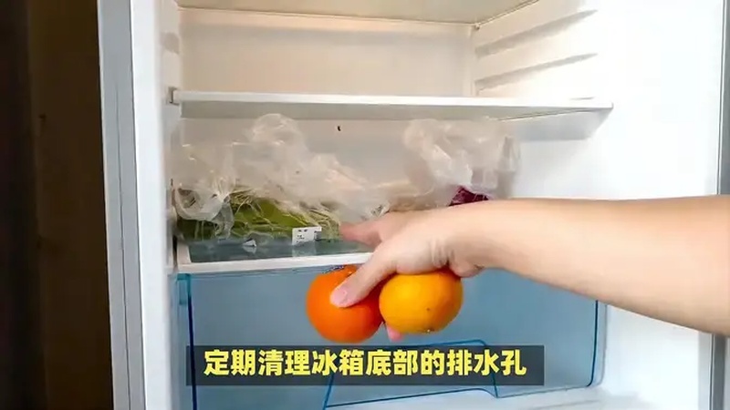 冰箱冷藏后壁结冰是什么原因结冰太头疼三大对策轻松应对!