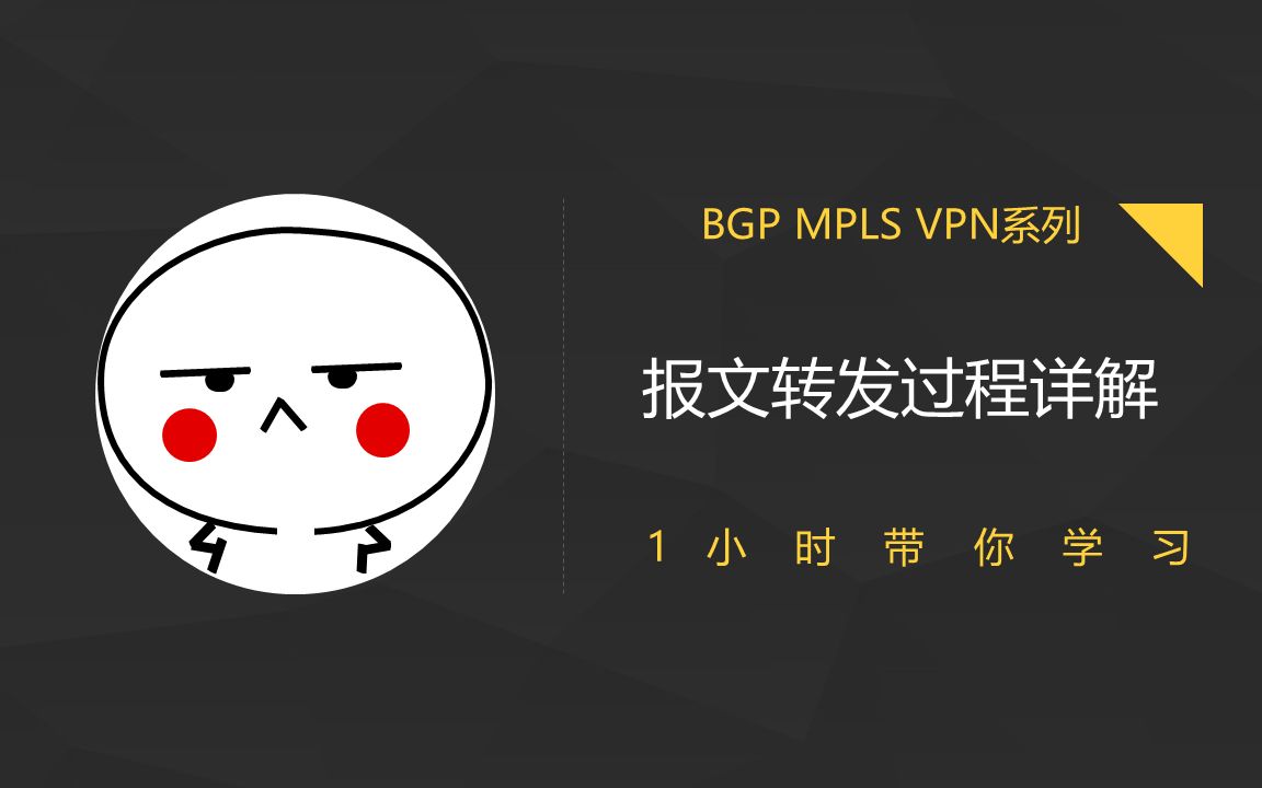 BGP MPLS VPN - 报文转发过程(4)
