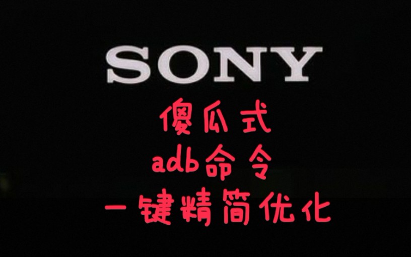 【adb精简】傻瓜式!一键精简索尼手机+黑阈优化-风骚哥数码刷机教程