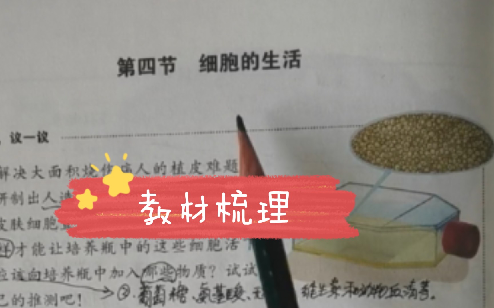 教材梳理//第一章第四节 细胞的生活(人教版初中生物七年级上册)