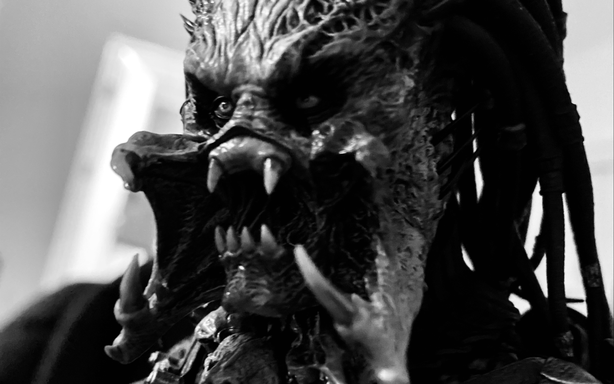 hottoys 铁血战士 独狼2.0开箱