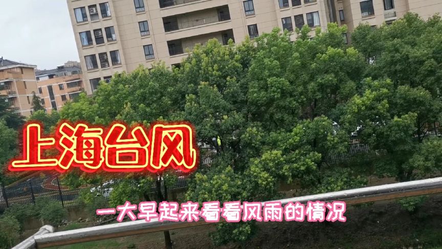 上海台风来了,大早上起来看情况,这天气只能在家吃吃喝喝