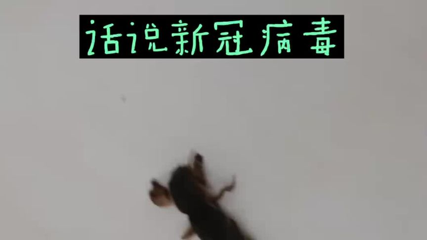 新冠病毒有多大点?比喻一下…