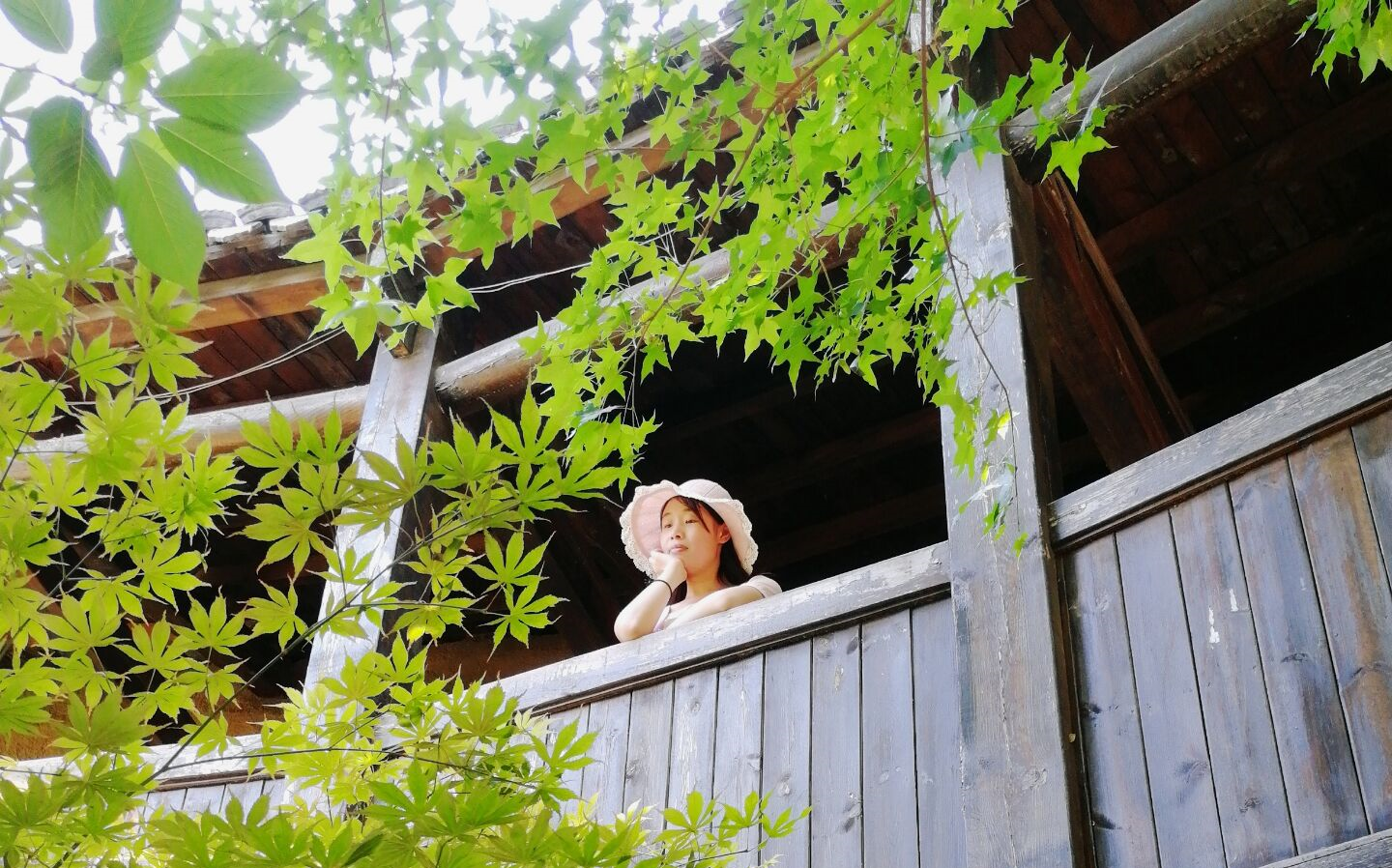 SolidWorks motion 入门教程