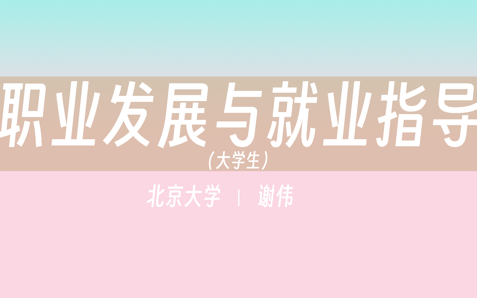 【北京大学】大学生职业发展与就业指导(全108讲)谢伟