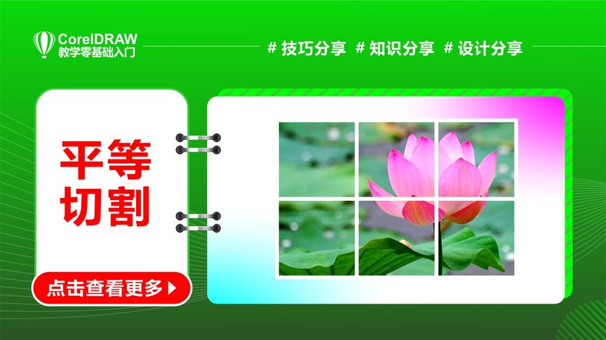 CDR如何平等切割图片,你学会了吗?