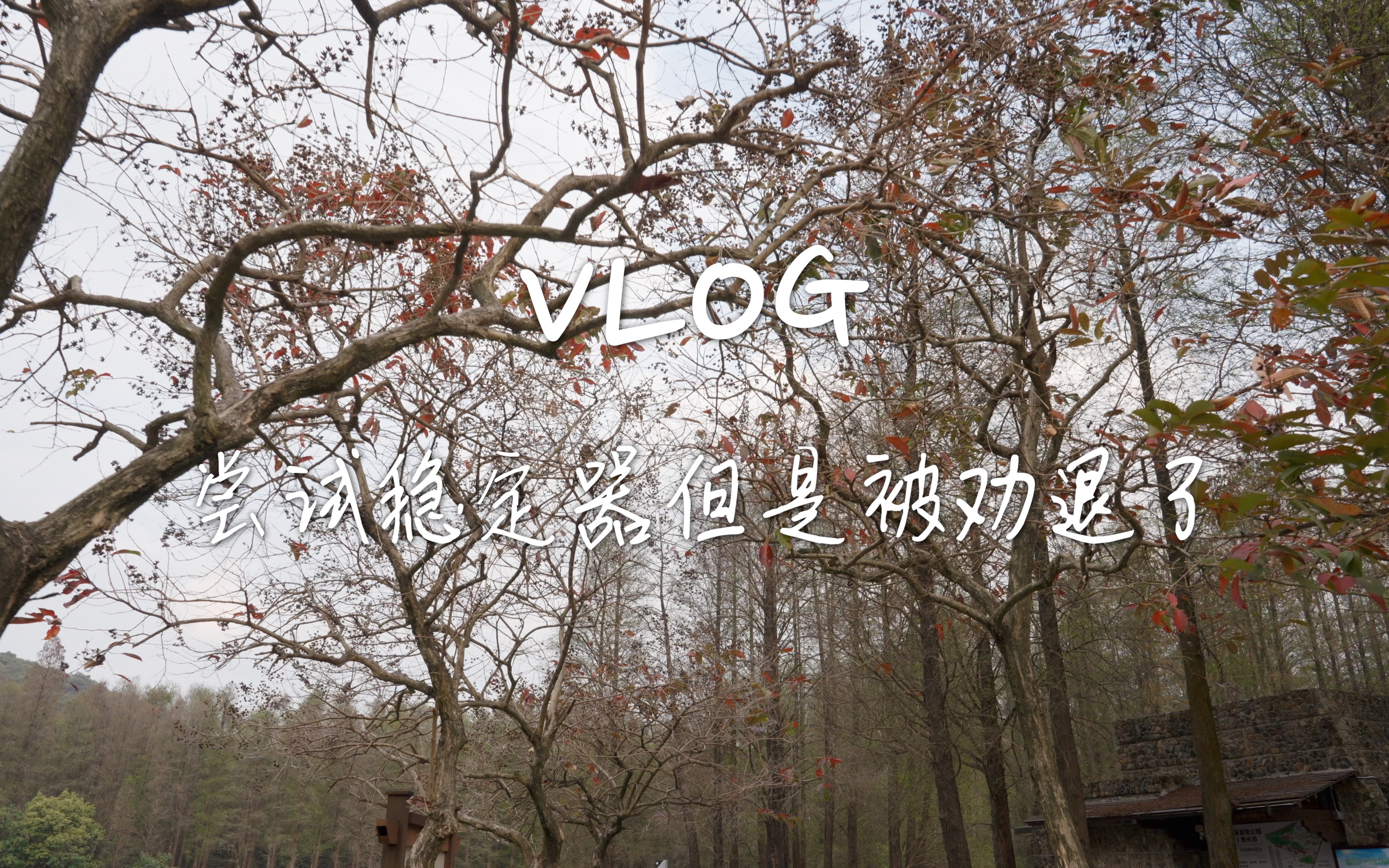 [Vlog]尝试稳定器拍视频被劝退了|大疆RS3稳定器