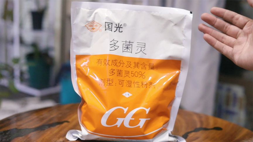 养花生病了怎么办?园艺师教你,使用多菌灵解决,什么花都通用
