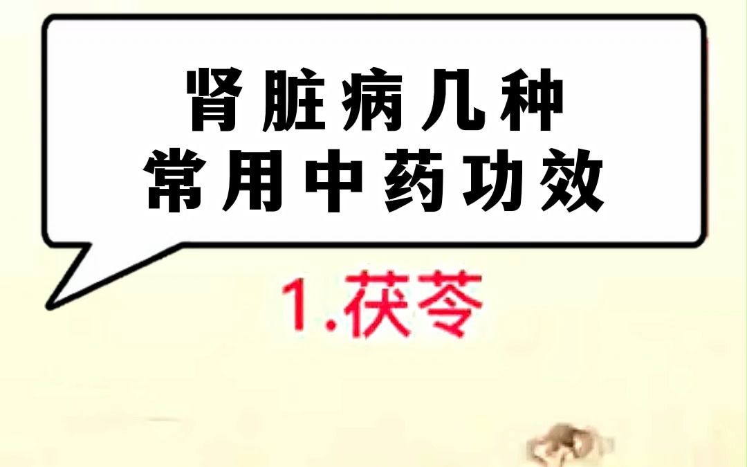 肾脏病几种常用中药功效