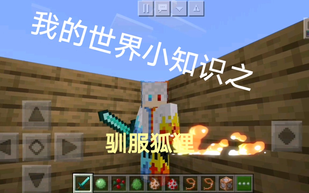 【风焰】我的世界小知识1 驯服狐狸