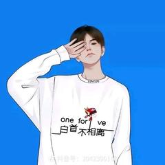 猪语言V 
