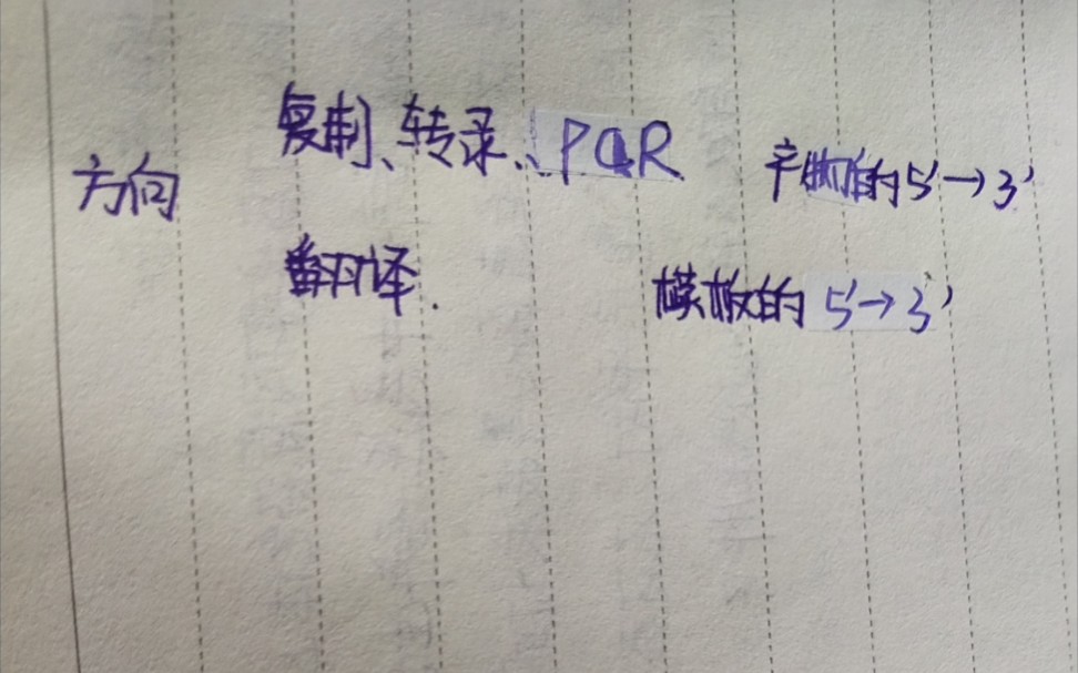 易错:复制转录翻译的方向