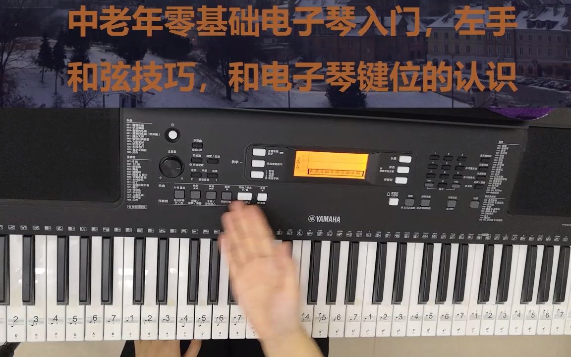 中老年零基础电子琴入门,左手和弦技巧,和电子琴键位的认识