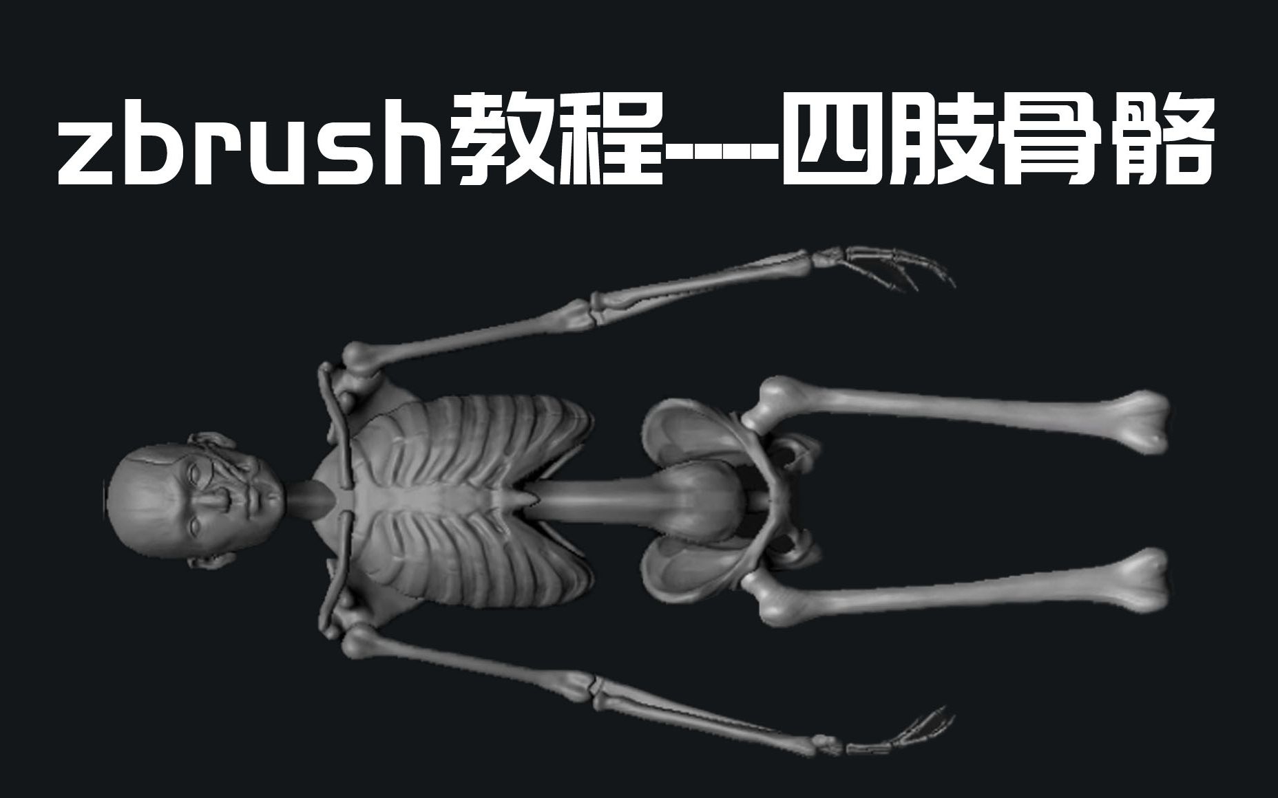 建模师必学的zbrush四肢骨骼雕刻,zbrush指骨雕刻