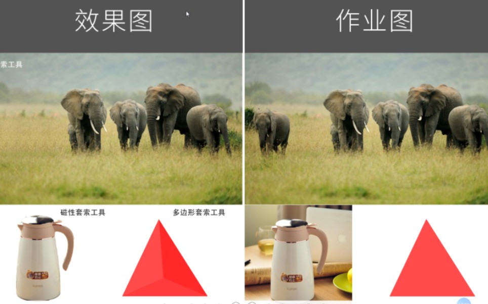 5.ps套索工具的使用