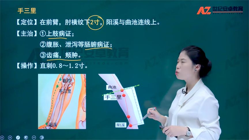 针灸学第12讲:手阳明大肠经、腧穴,手三里在哪里?帮你快速定位
