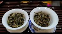 普洱生茶和熟茶的功效是不一样的!你选对了吗!