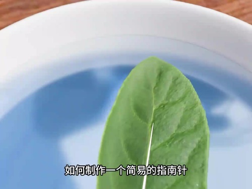 超简单方法教你DIY指南针!