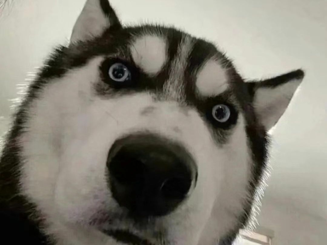 ESP32学习记录1-基础介绍