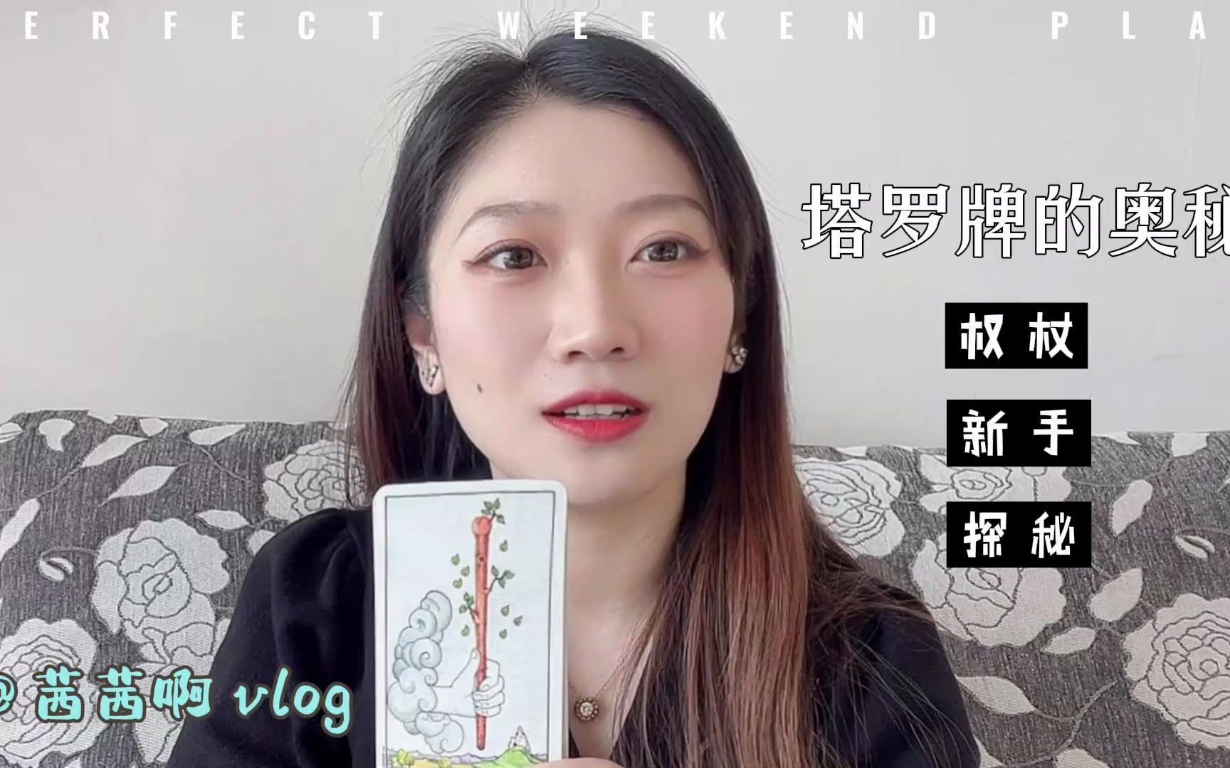 新手塔罗牌如何入门,我来教你。
