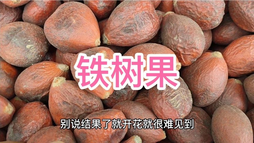 几百种,冷门中药材!你能认识几个?教你认知不常见的冷门药材!