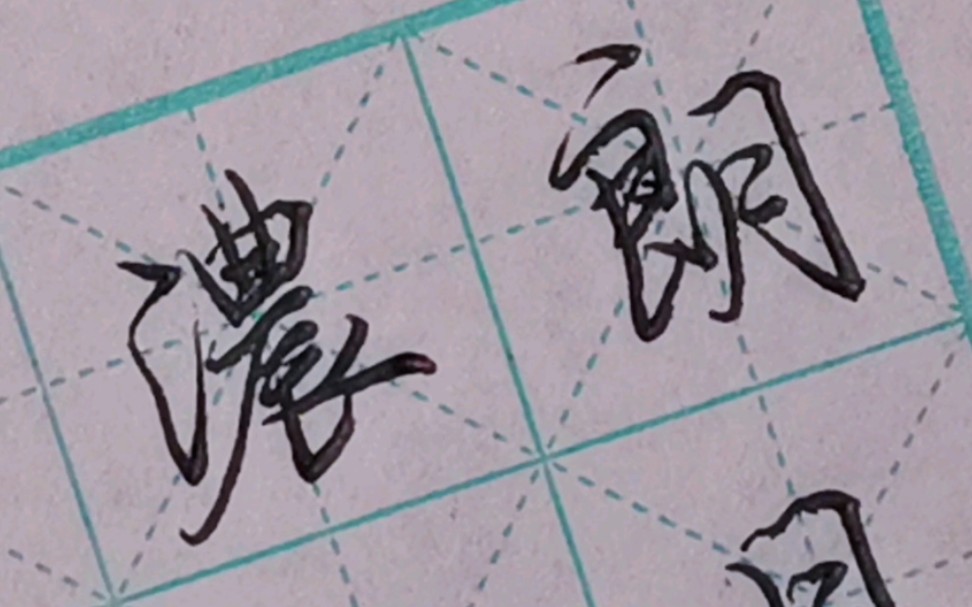 硬笔书法写李清照《多丽•咏白菊》句,朗月清风,浓烟暗雨