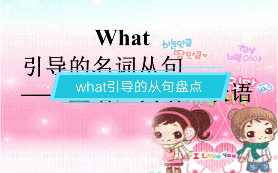 高考英语what引导的从句