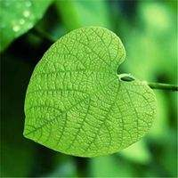 木桶半桶水 