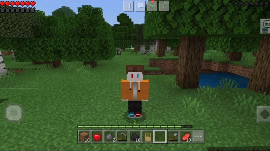 我的世界;第二期,下期种田