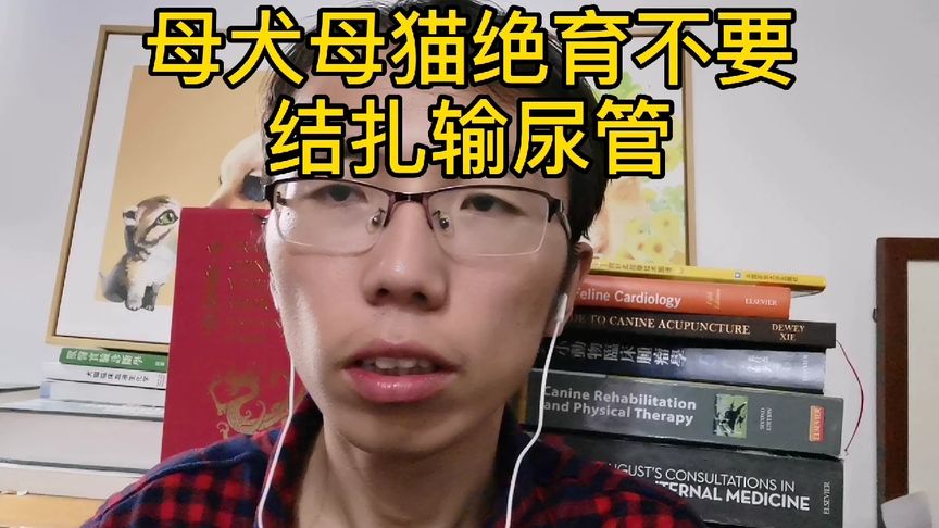 20201106期 母犬母猫绝育不要结扎输尿管,内附绝育视频