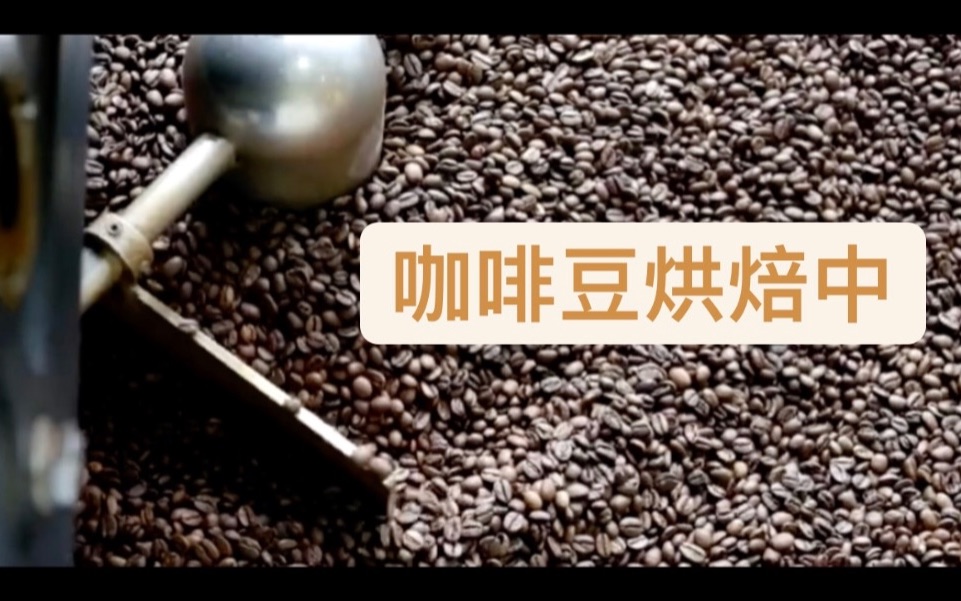 OutmanCoffee|咖啡烘焙过程 一颗咖啡豆从生到熟