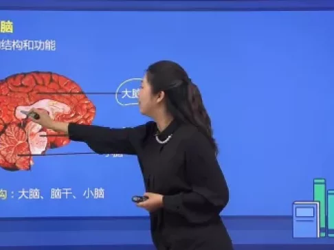 【生物苏教版七年级下册】人体的神经调节(上)