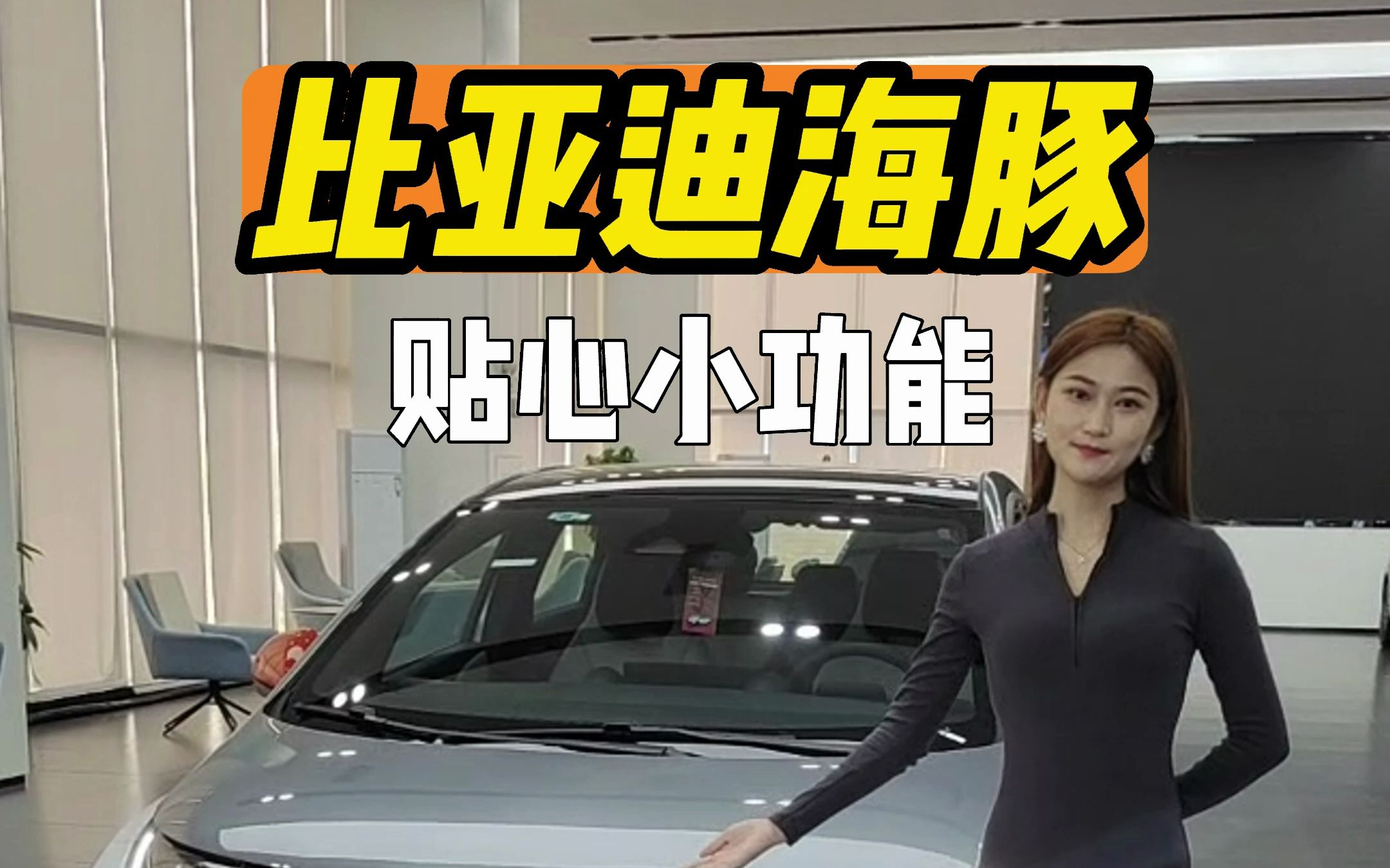 比亚迪贴心小功能 #比亚迪海豚 #面朝大海果然有爱 #新能源汽车