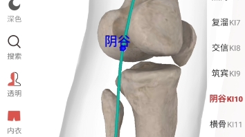 足少阴肾经腧穴分布图示
