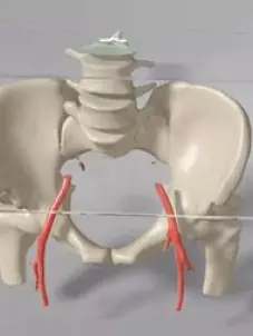 3D医学动画-3D打印概念视频