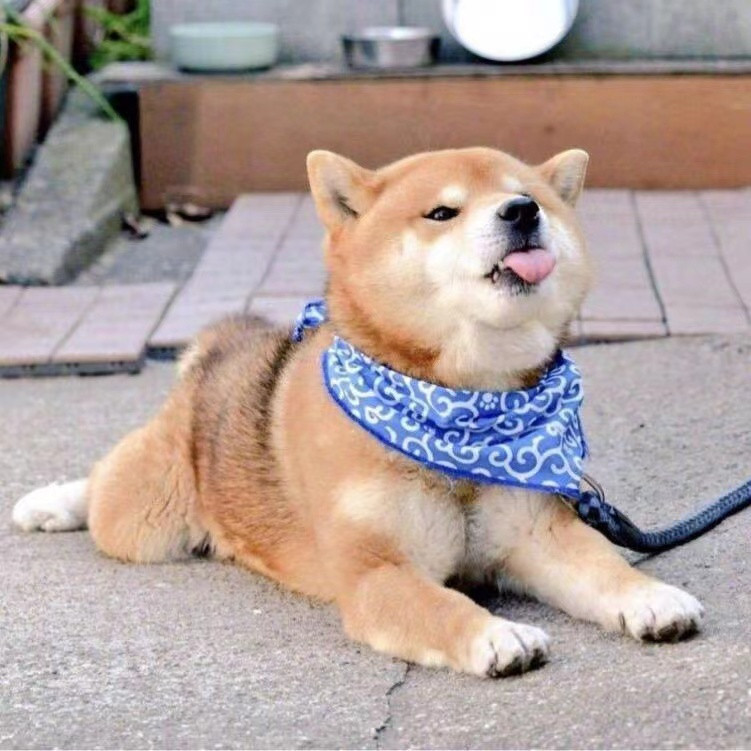 三一影视YQ 