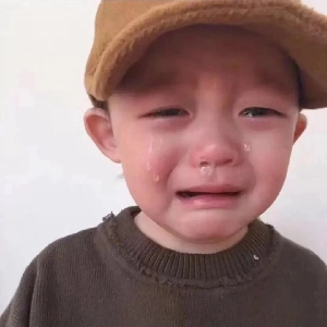 南极星的月亮奶奶 