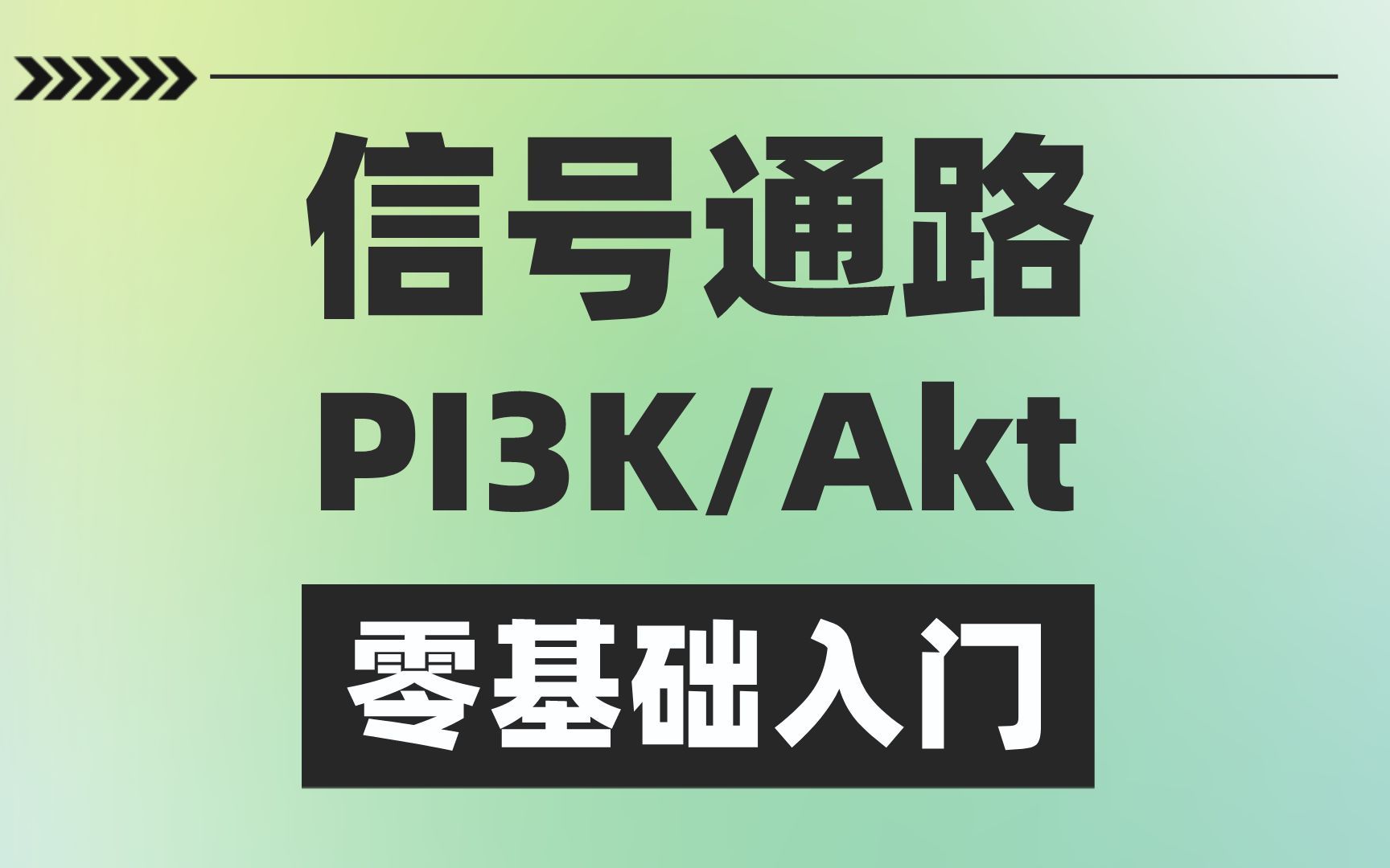 深入解析细胞信号传导通路