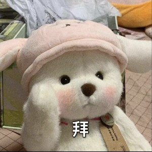 小爱君 